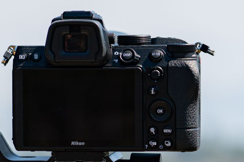 Nikon Z5 VS Z6 | Image Quality & Autofocus Tests