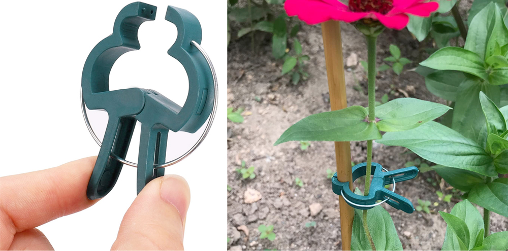 10 Floral Photography Tips To Get You Started