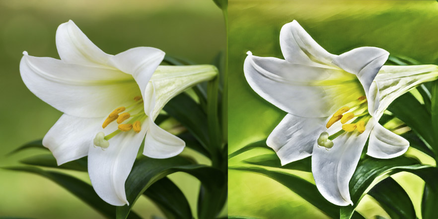 Adobe Pulls Back the Curtains To Reveal All The New Features In Todays ...