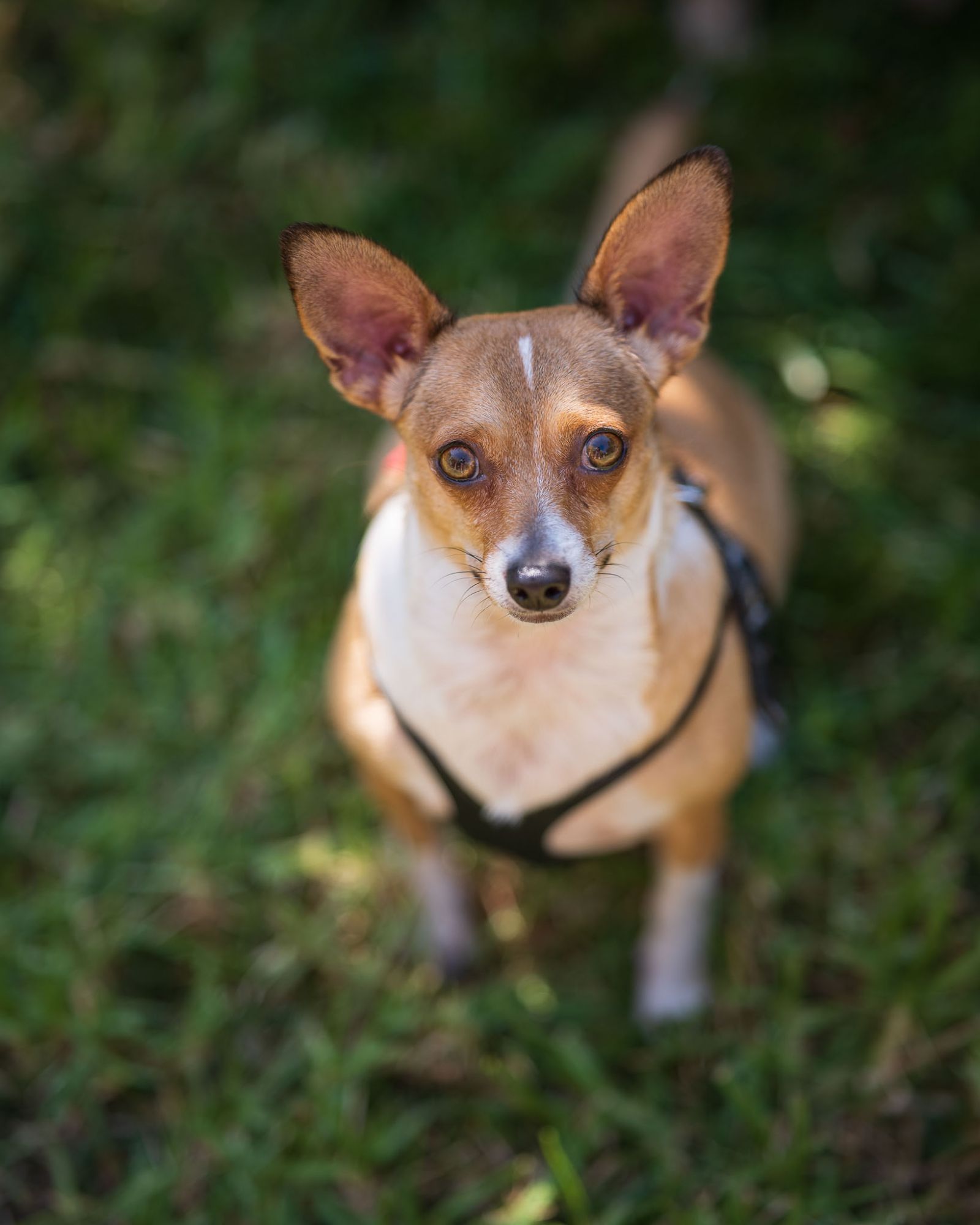 Nikon Z5 Review | The Best Value Full-Frame Mirrorless Camera