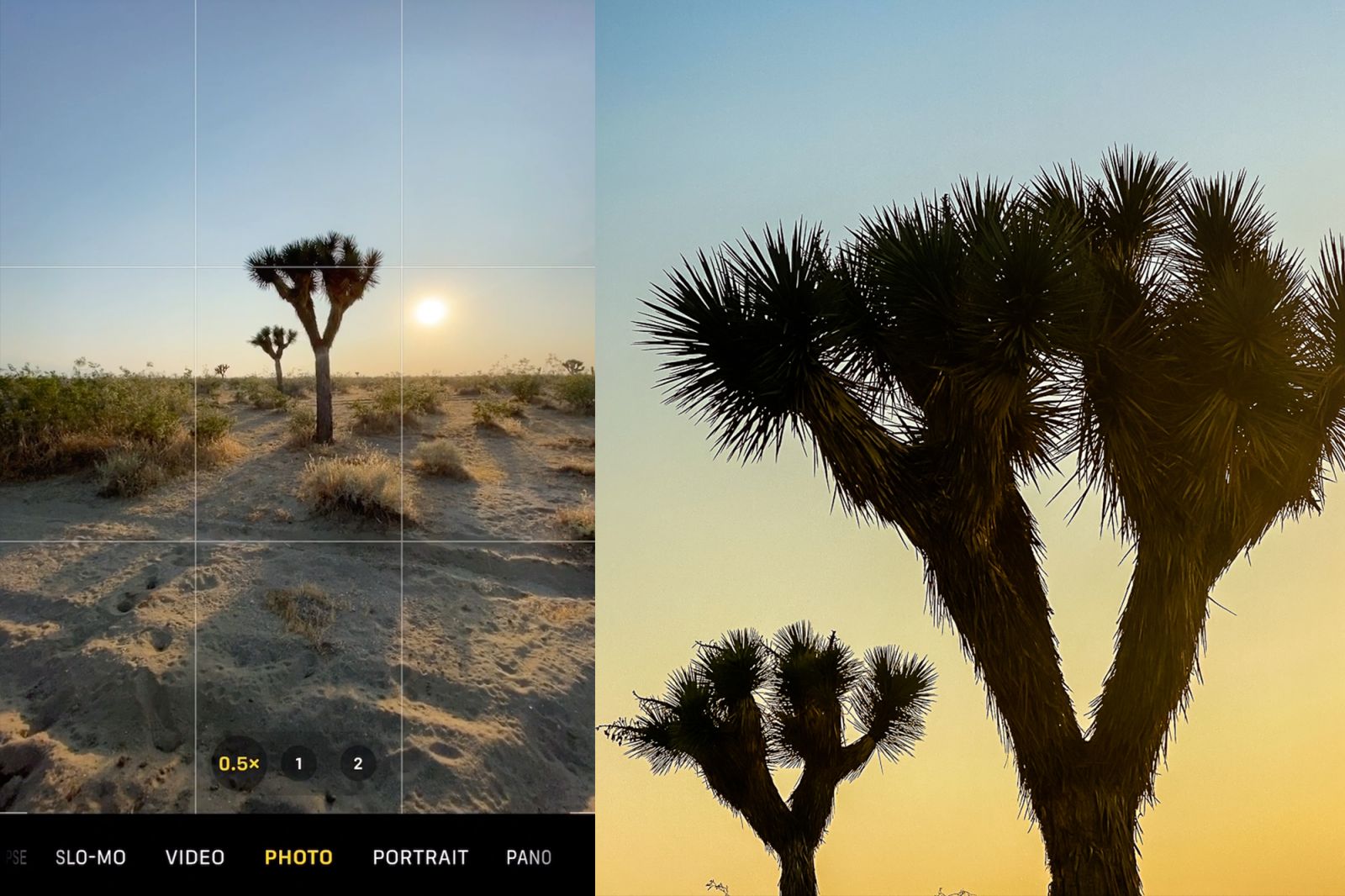 20 Tips and Tricks for iPhone Photography