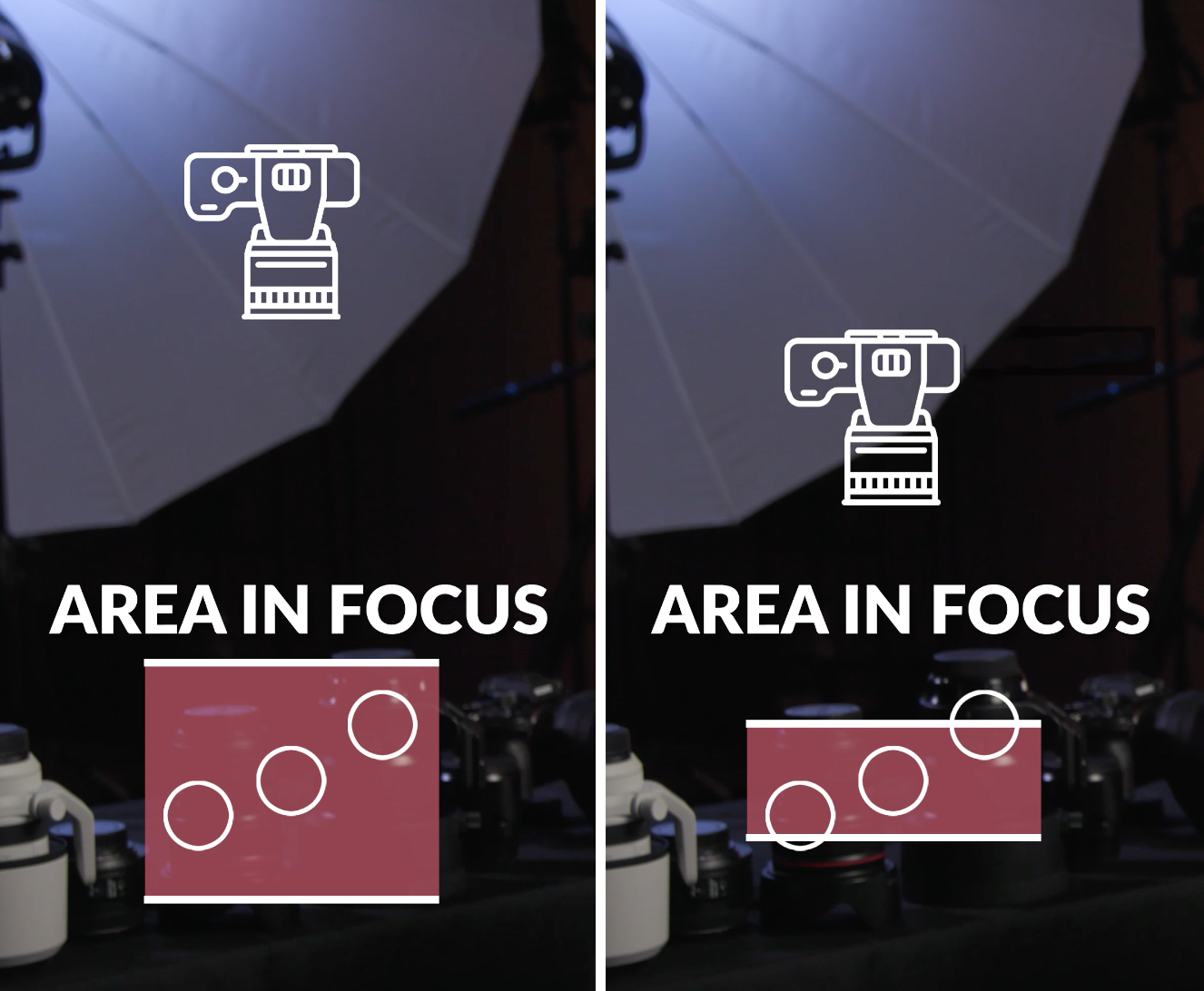 5 Tips on Shooting Sharp Images with a Wide-Open Aperture