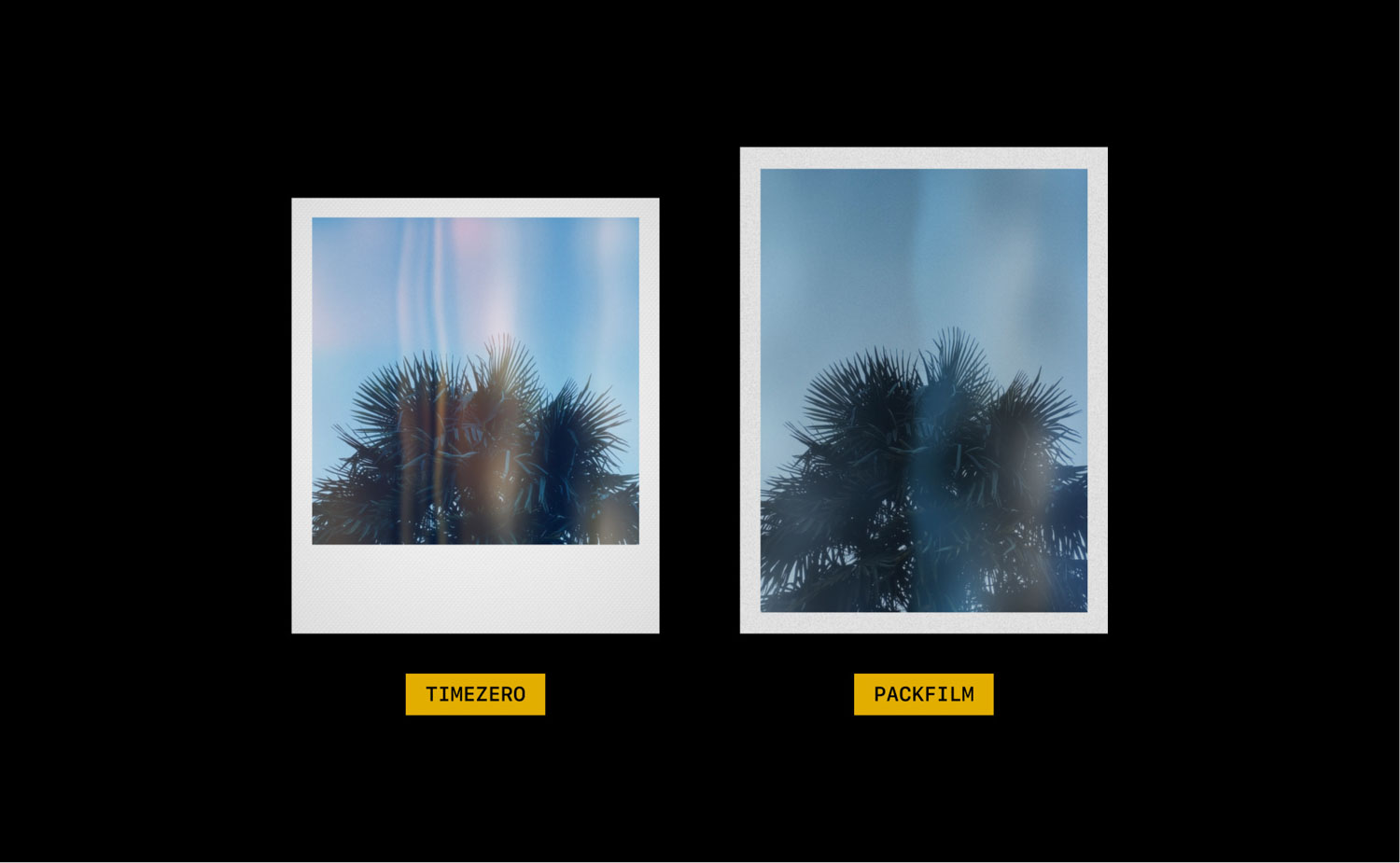 Introducing Instant Film for iPhone - New App from MOMENT