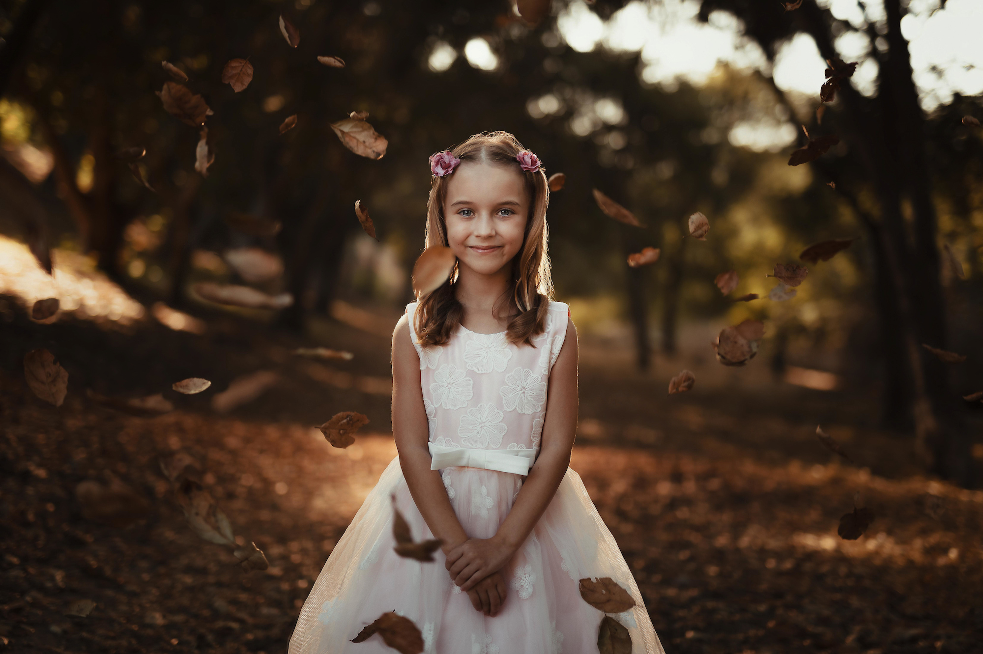 Fall Leaves Photography Tips and Ideas