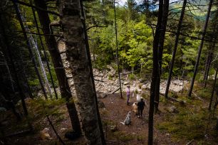 High Angle Photography - Ideas to Try Some "From Above" Photos