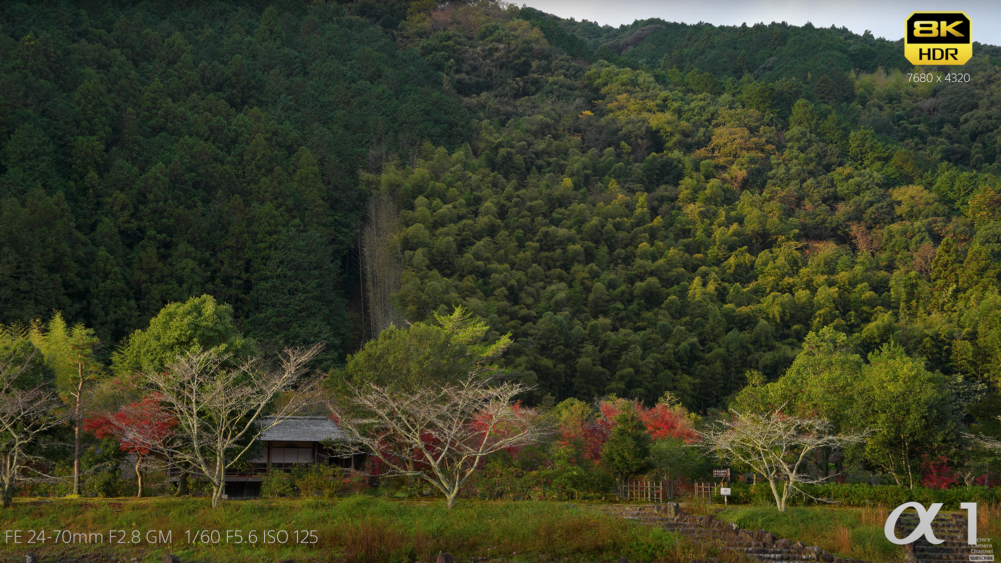 Get A First Look At The 8K & 4K Footage From Sony's New Flagship Alpha ...