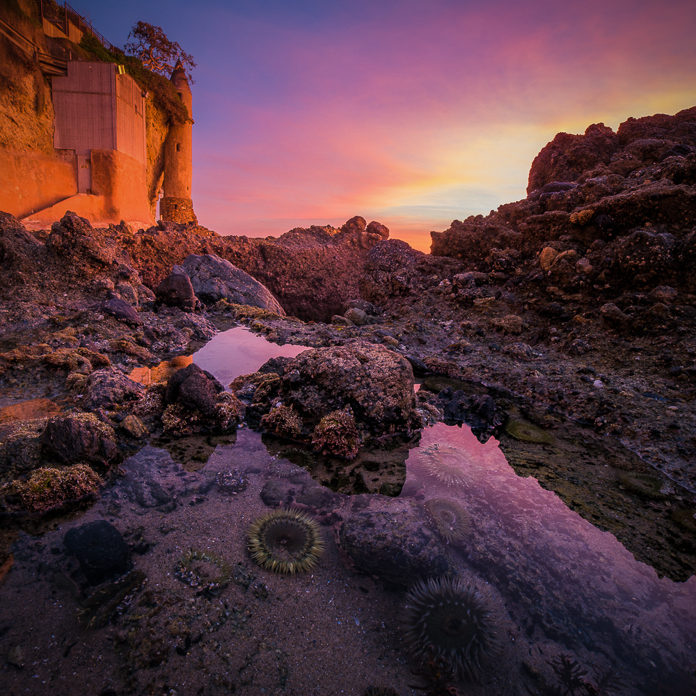 Landscape Composition Tips and Ideas for Photographers