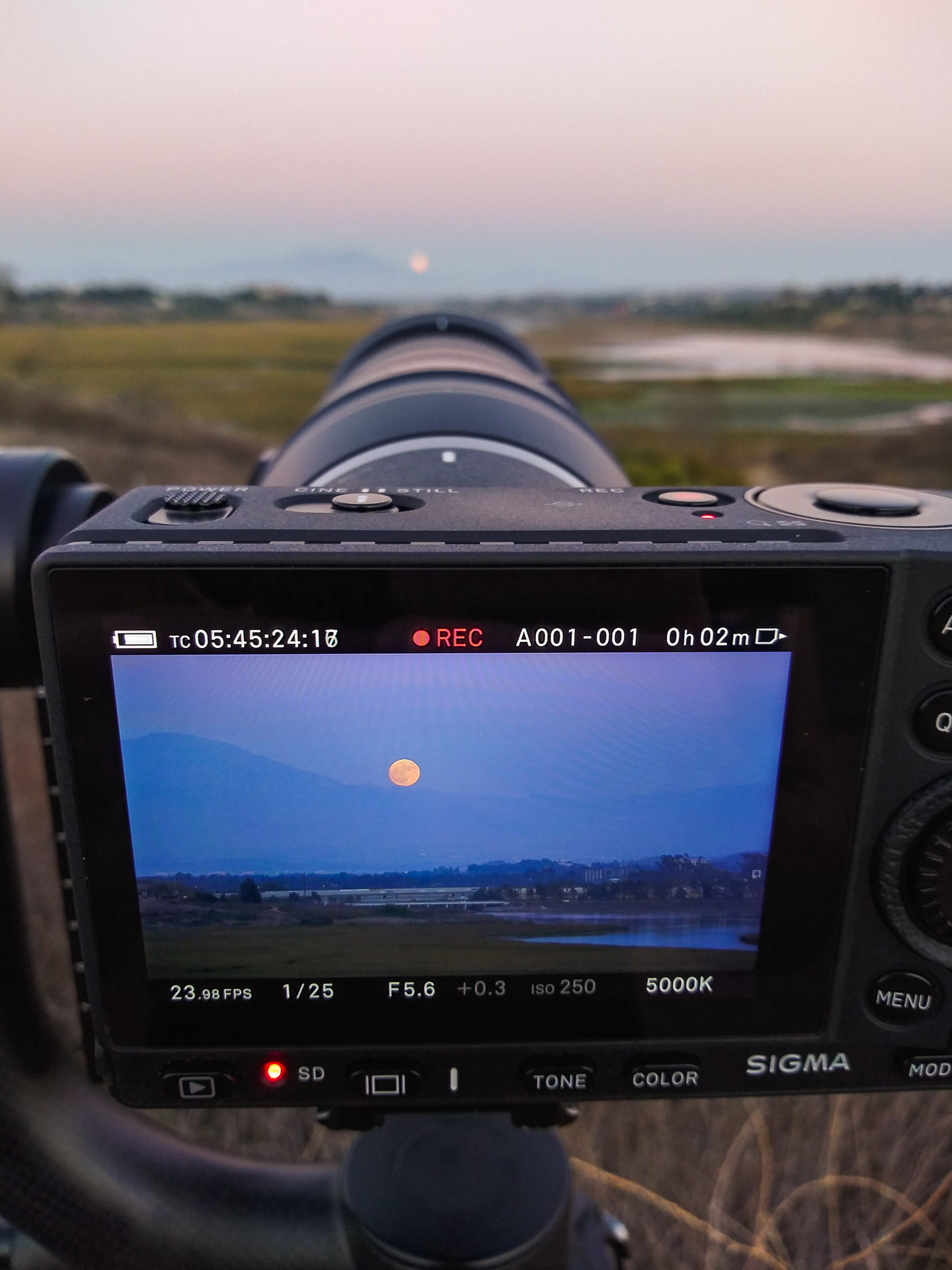 Sigma FP Review | Full-Frame 4K RAW Video On A Budget!