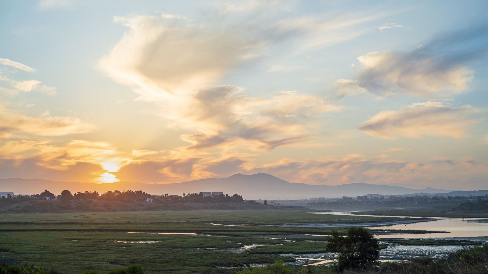 Sigma FP Review | Full-Frame 4K RAW Video On A Budget!