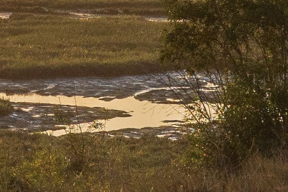 Sigma FP Review | Full-Frame 4K RAW Video On A Budget!