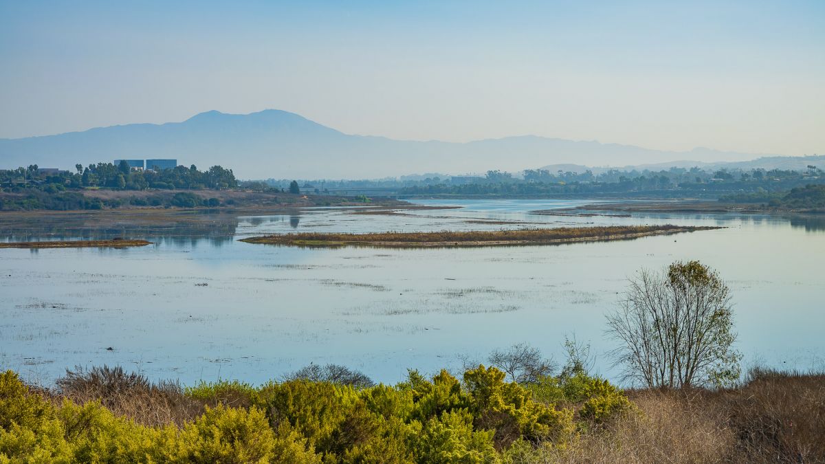 Sigma FP Review | Full-Frame 4K RAW Video On A Budget!