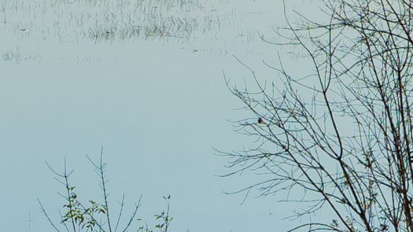 Sigma FP Review | Full-Frame 4K RAW Video On A Budget!