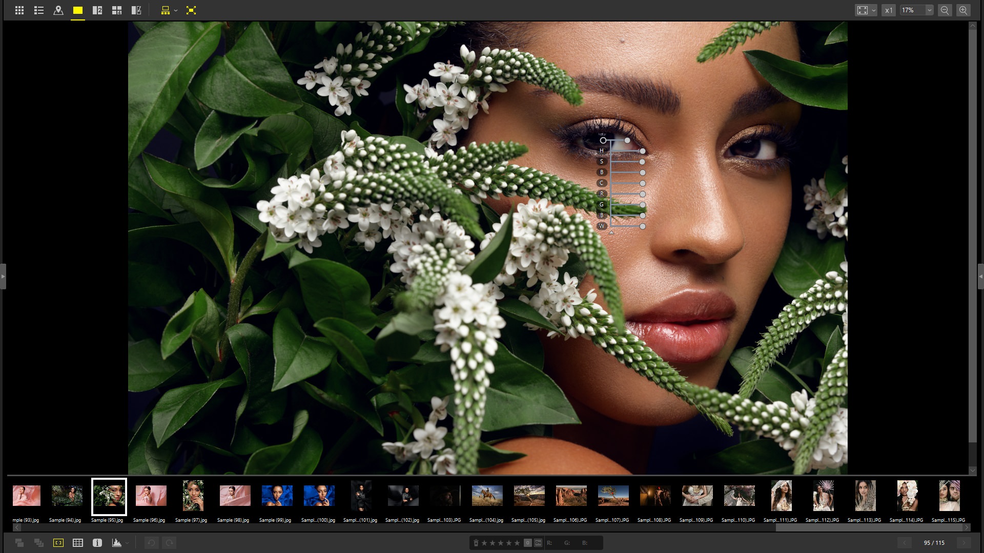 Nikon Releases NX Studio - Their New FREE Photo & Video Editing Software