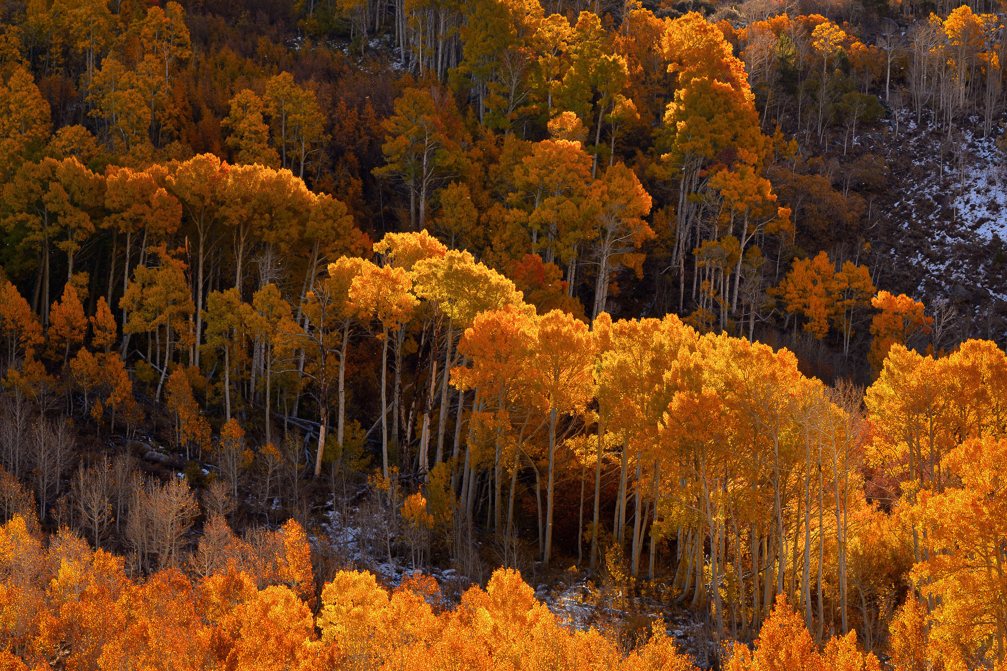 5 Mountain Landscape Photography Tips