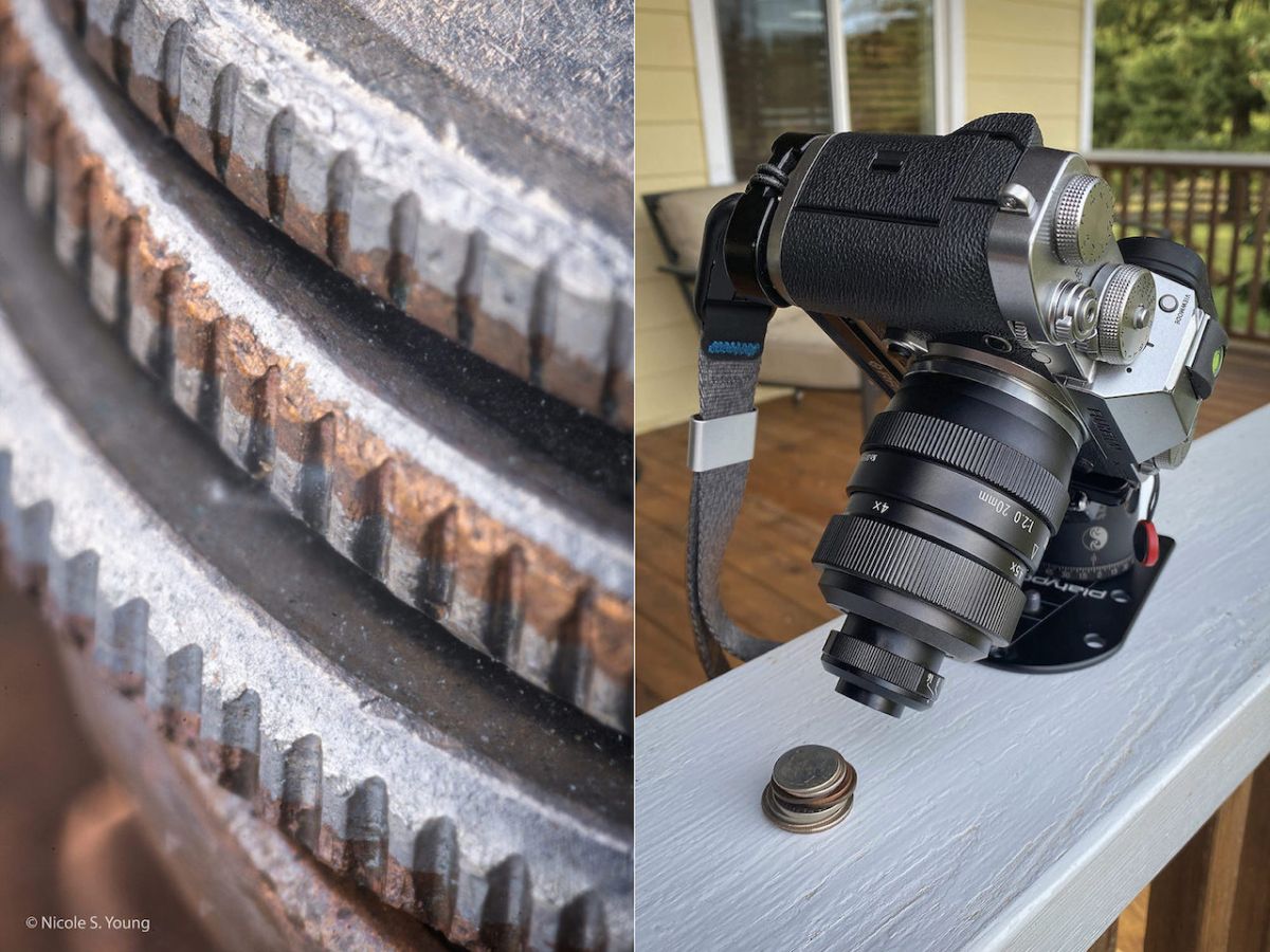 Take a Closer Look with Macro Photography Tips for Beginners