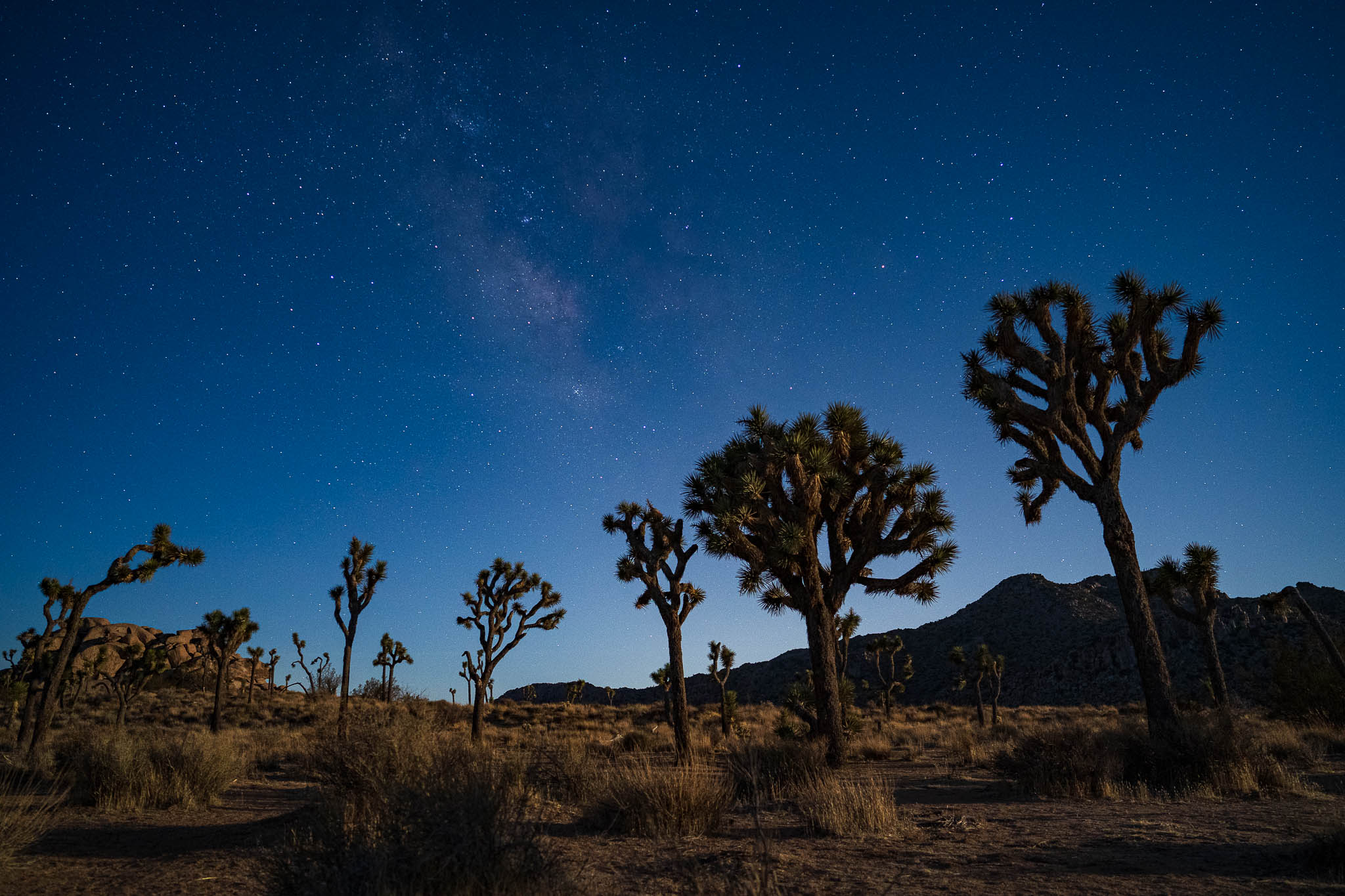 Astrophotography Definition - What is Astrophotography by SLR Lounge