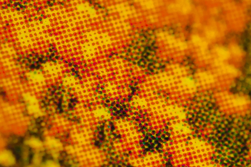 PPI vs DPI: What's the Difference and Why It Matters to Photographers