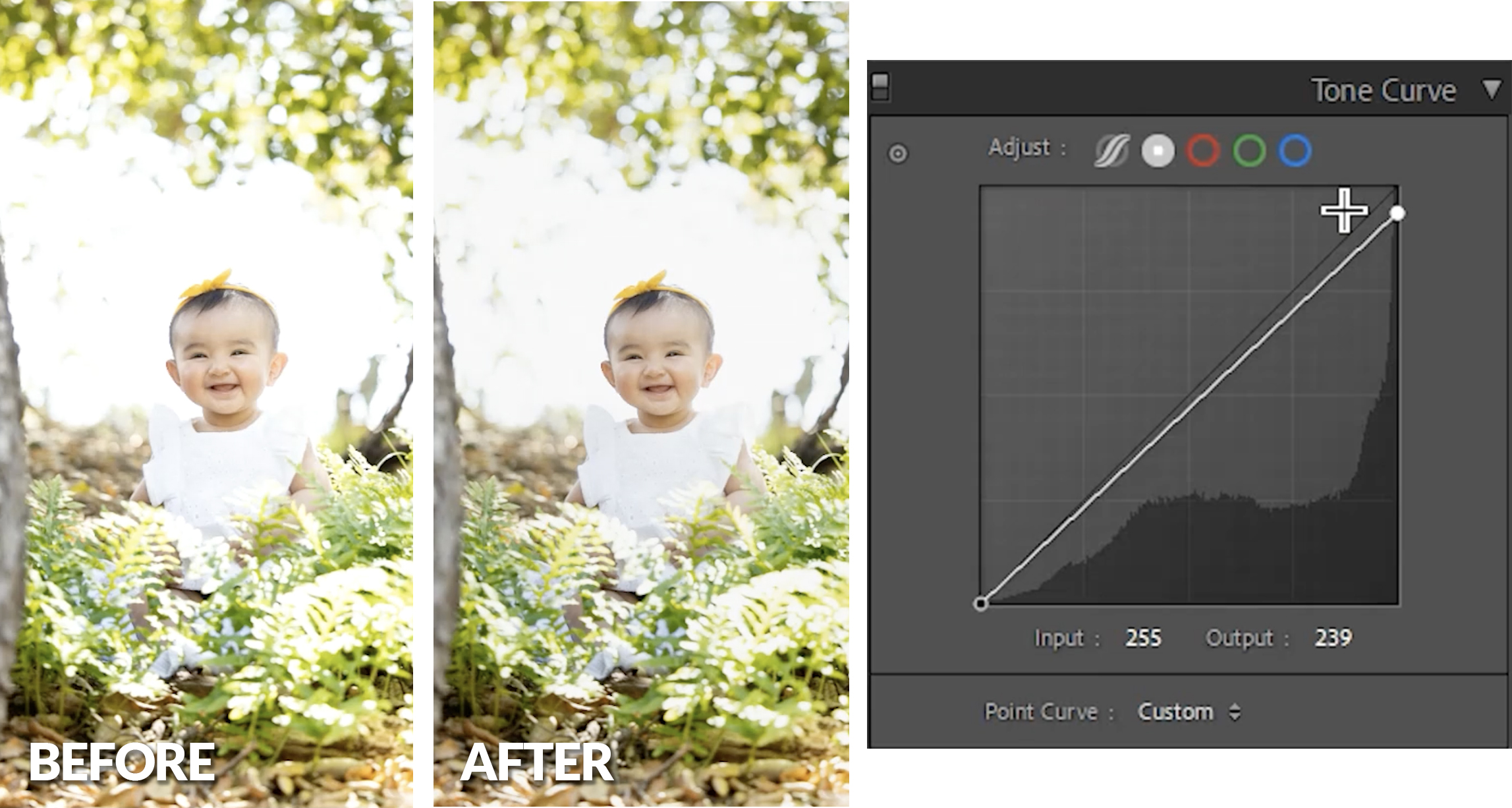 How to Fix It in Post in Lightroom
