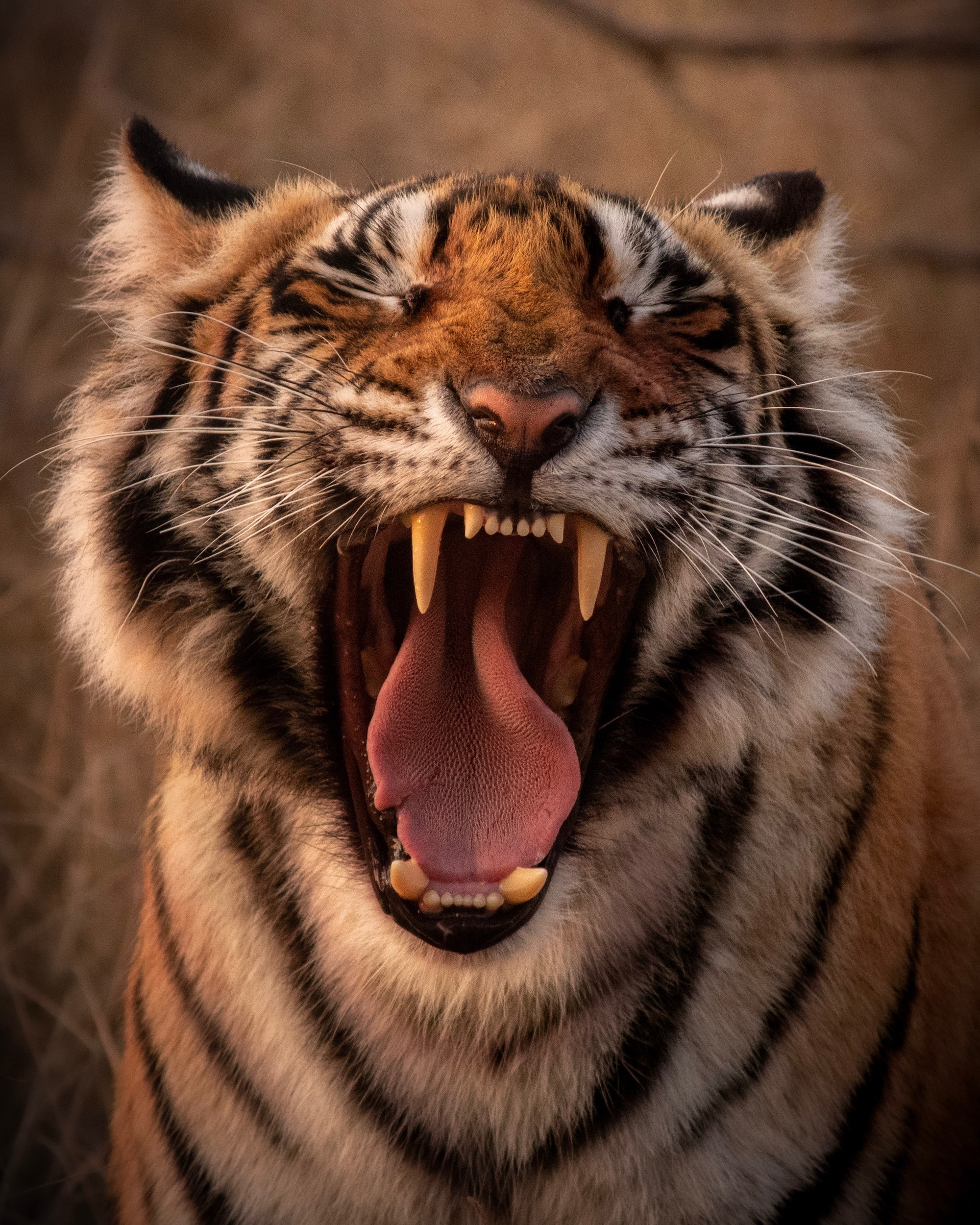 8 Nature Photography Tips to Elevate Your Photos
