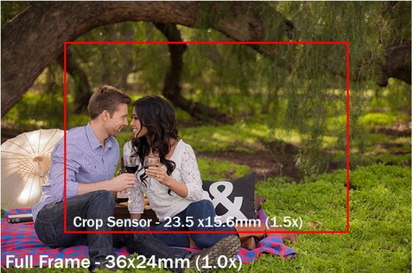 Full Frame Vs Crop Sensor Cameras | Find the Right Fit for Your Photography