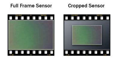 Full Frame Vs Crop Sensor Cameras | Find the Right Fit for Your Photography