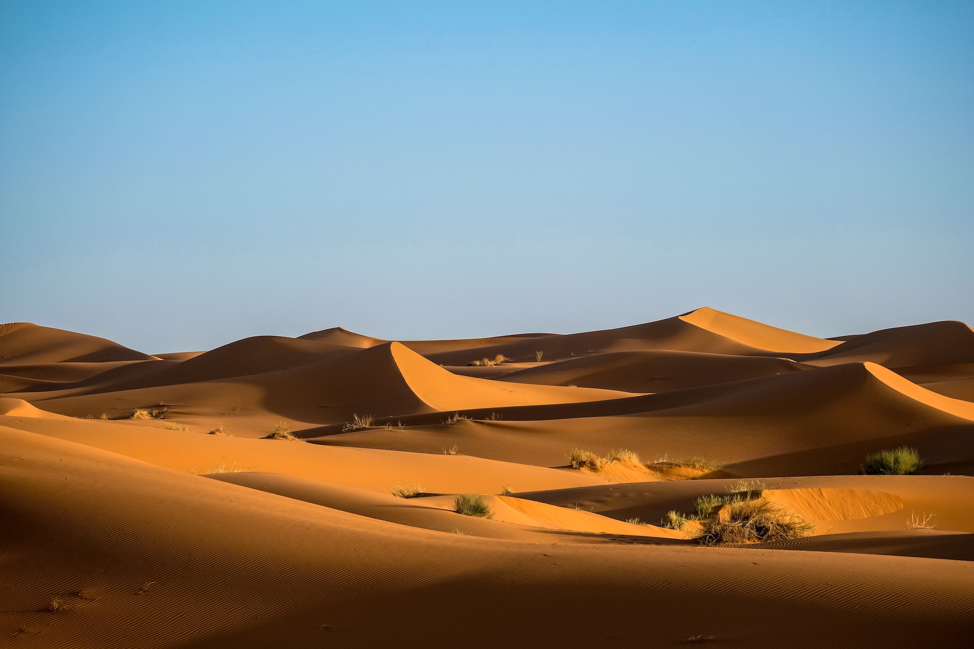 8 Desert Photography Tips & Tricks for Beautiful Results