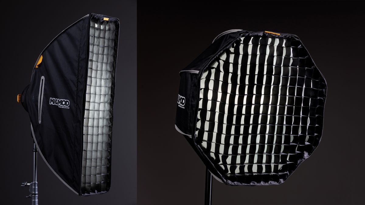 MagMod's New All-Star Lineup: Softboxes, Stripboxes & More!