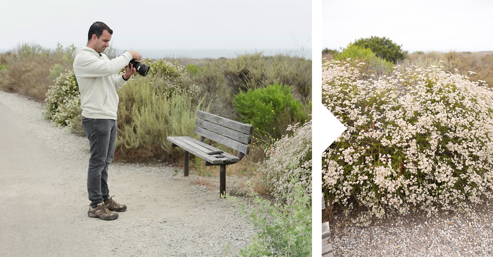 Become a Better Photographer With These Mobile Photography Tips and ...