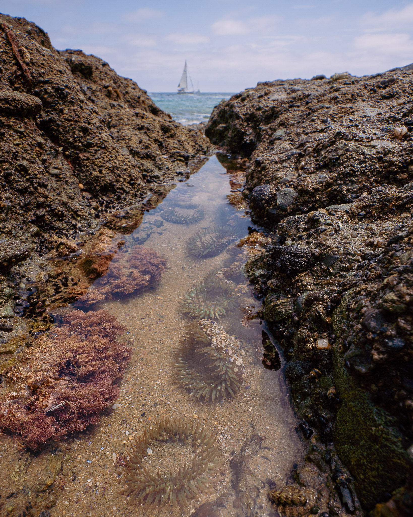 Wide-Angle Landscape Composition Tips and Ideas for Photographers