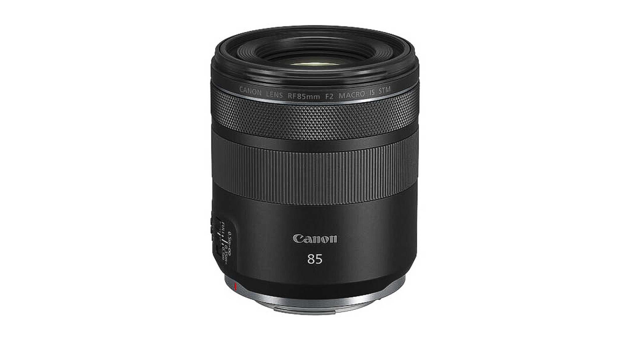 Best Canon Prime Lenses for Beginners and Pros