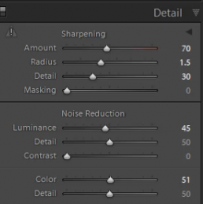 Grainy Photos 101 | Causes, Fixes and Artistry