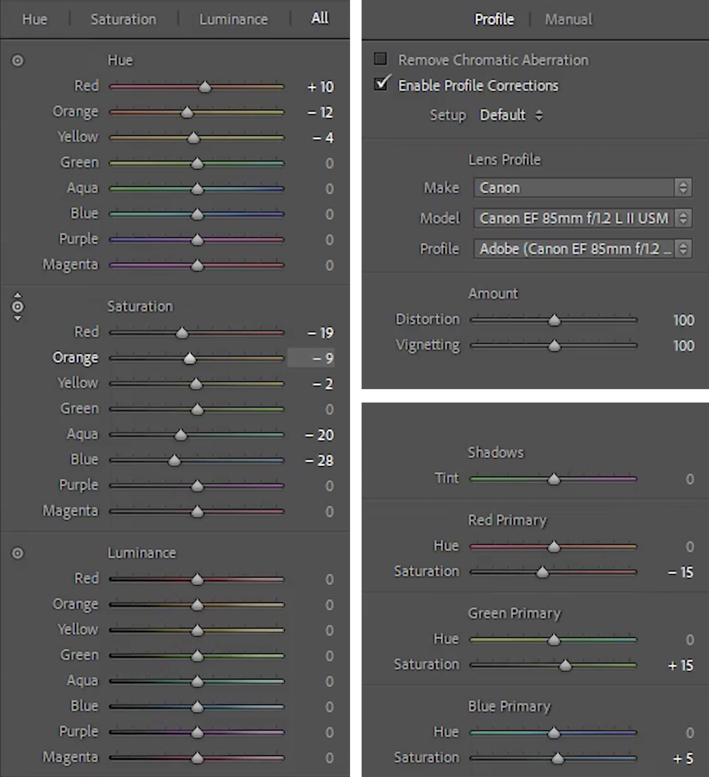 Natural vs. Dramatic: 2 Lightroom Editing Styles Using One Image