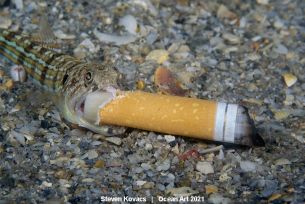 Ocean Photography Tips and Award-Winning Images for Your Inspiration