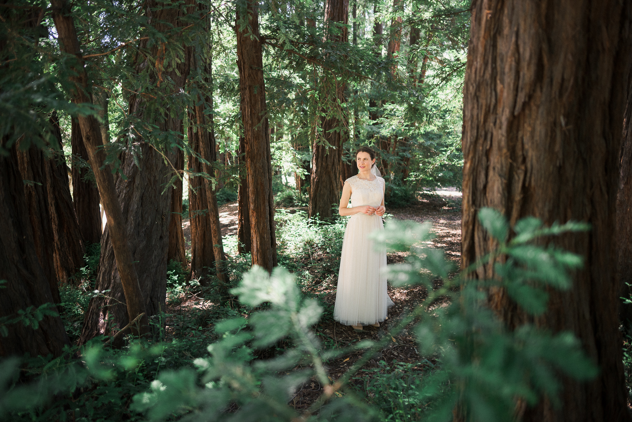 How To Calibrate Your Lenses | A Simple Fix For Blurry Images (Updated)