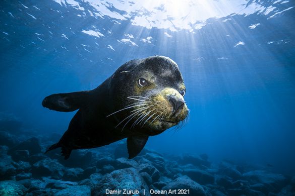 Ocean Photography Tips and Award-Winning Images for Your Inspiration
