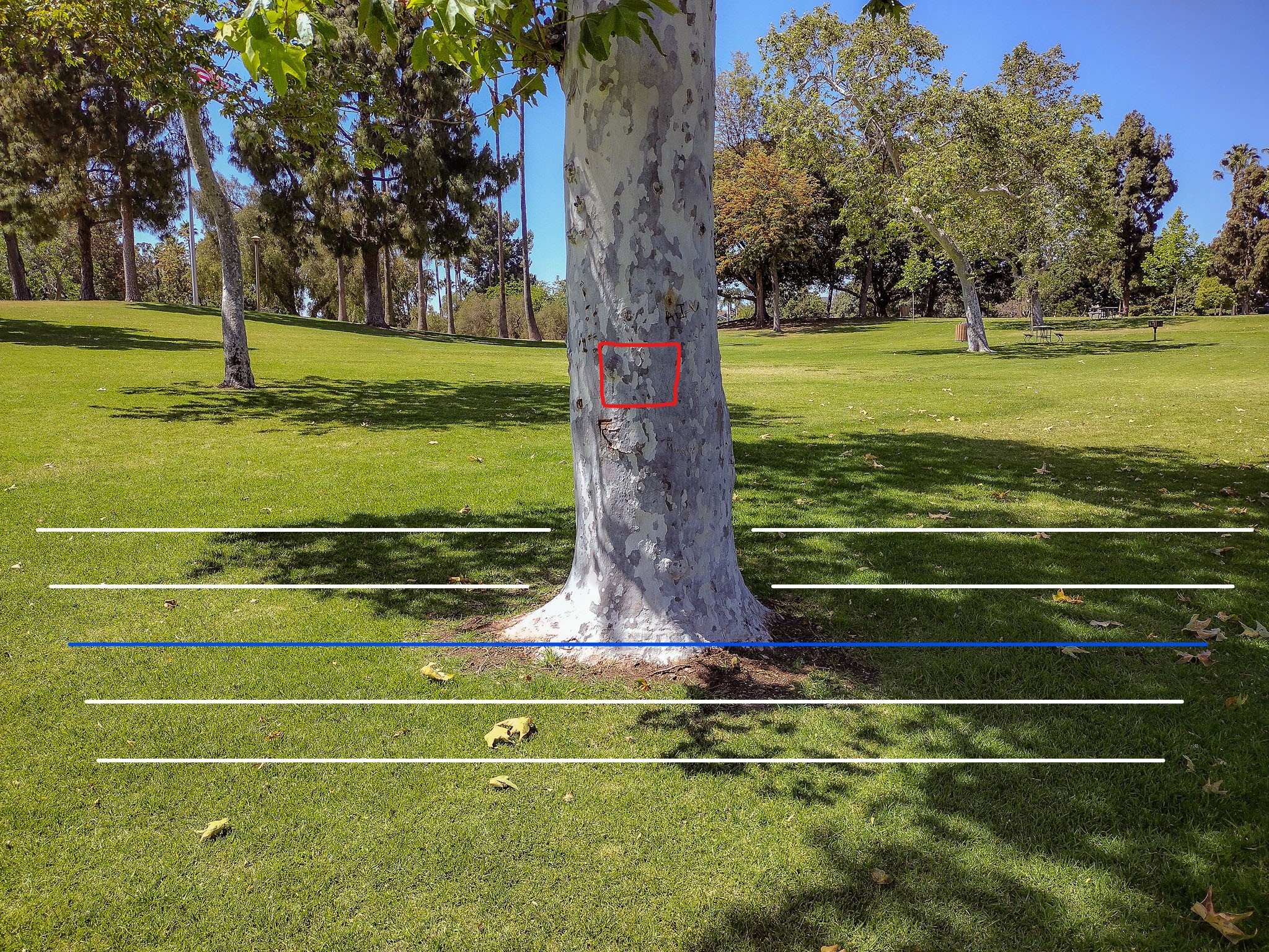 How To Calibrate Your Lenses | A Simple Fix For Blurry Images (Updated)