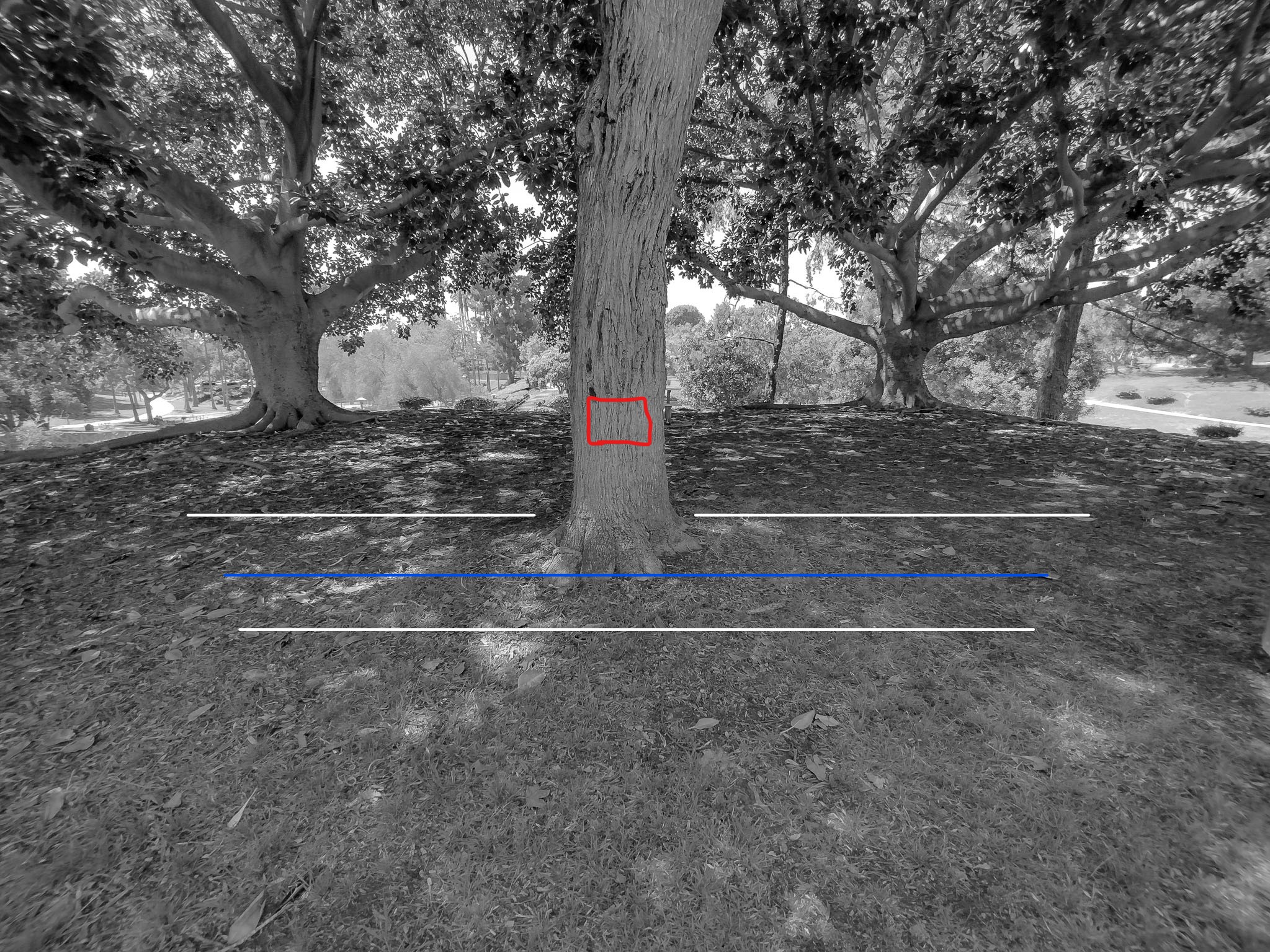 How To Calibrate Your Lenses | A Simple Fix For Blurry Images (Updated)
