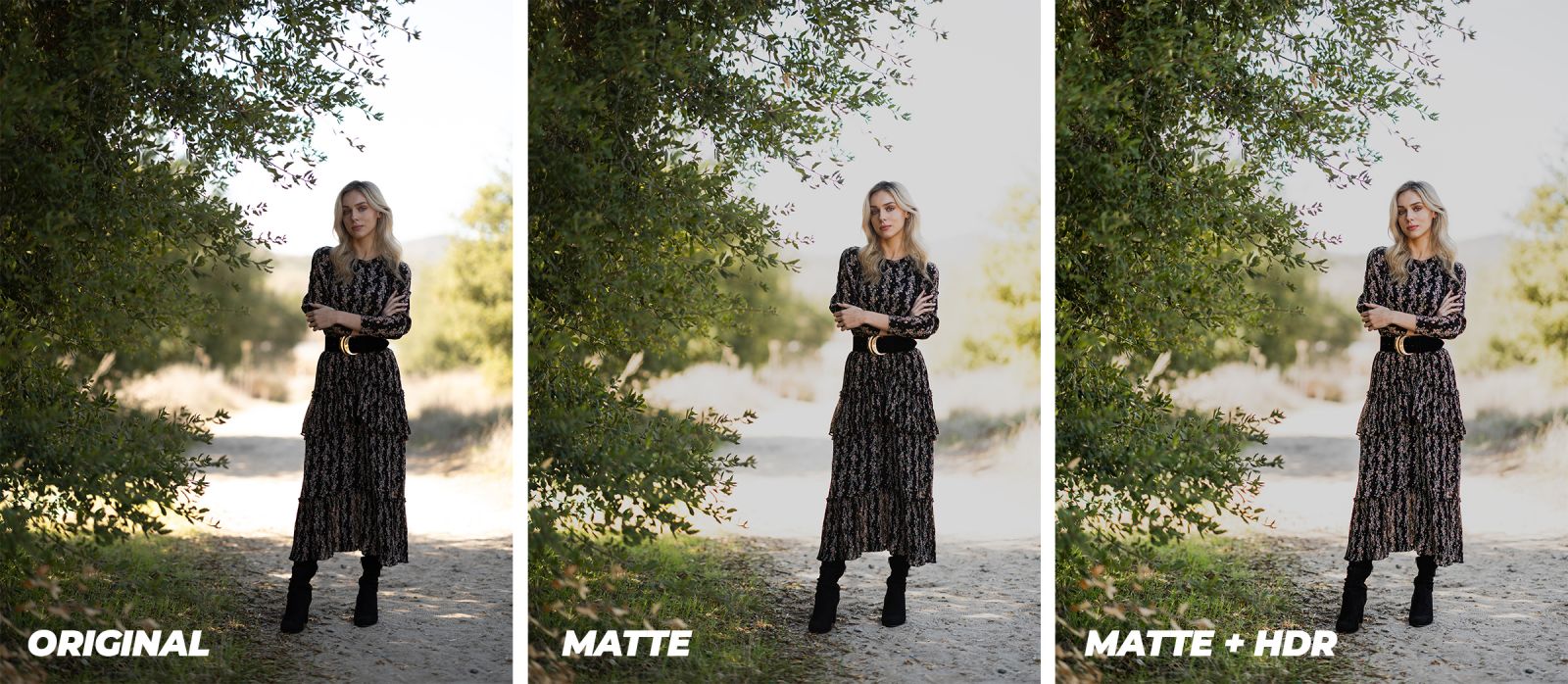 3 Techniques for Saving an Overexposed Photo in Lightroom