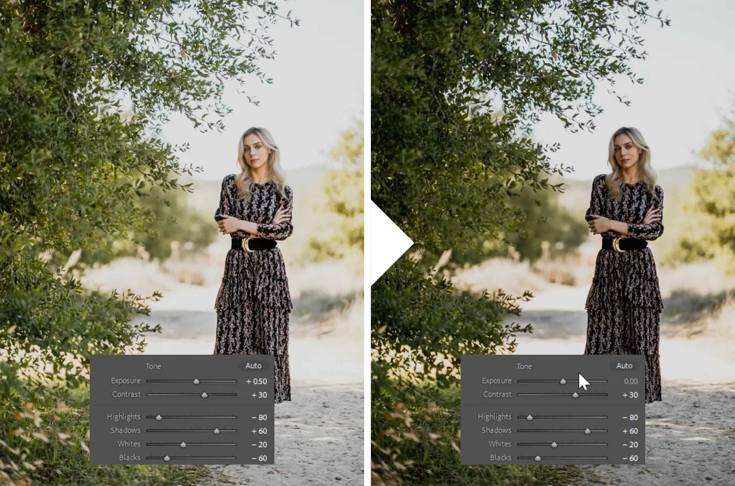 3 Techniques for Saving an Overexposed Photo in Lightroom