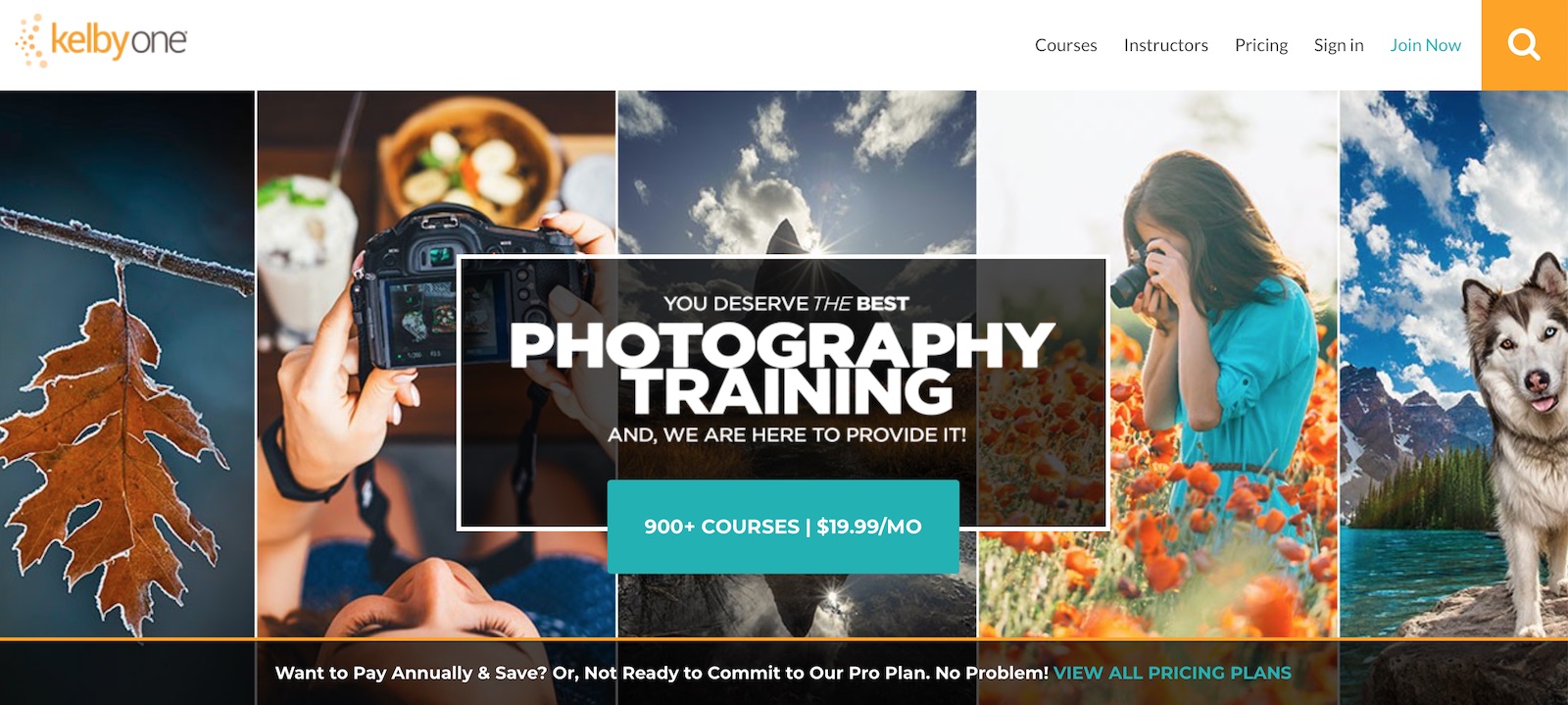 Best Online Photography Classes for All Levels