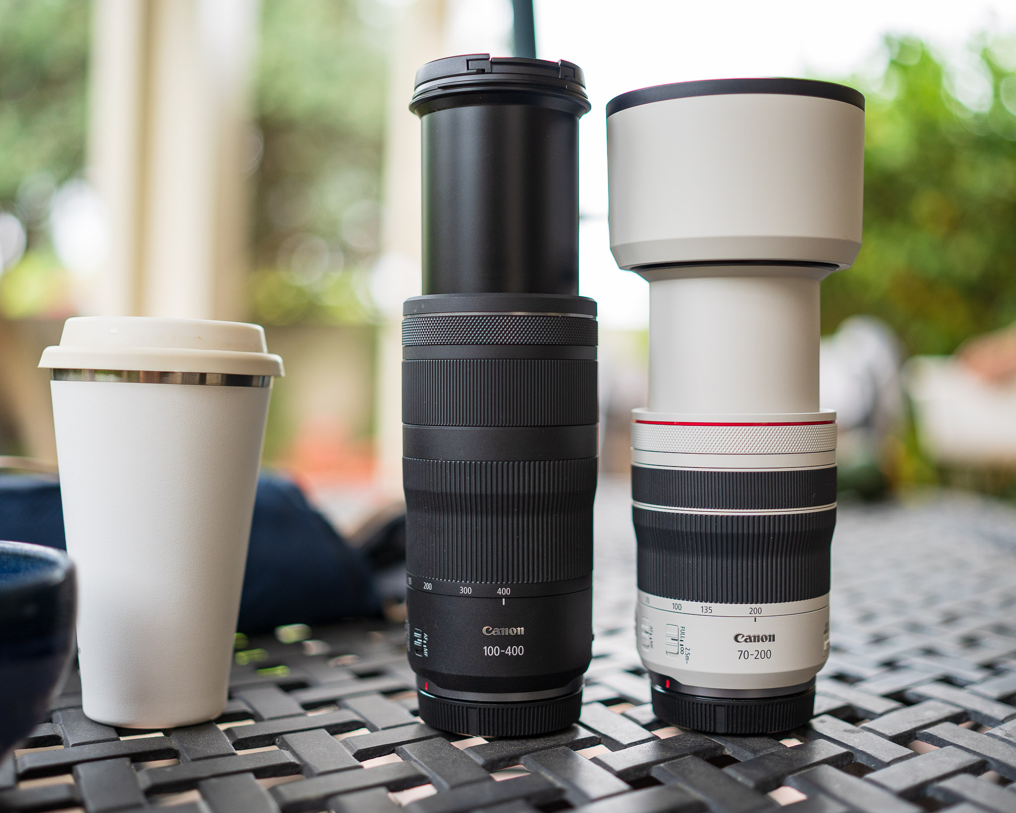 Canon RF 100-400mm f/5.6-8 Review | Affordable, Portable, Sharp!