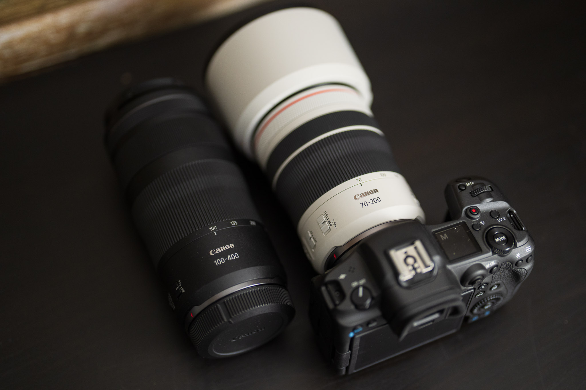 Canon RF 100-400mm f/5.6-8 Review | Affordable, Portable, Sharp!