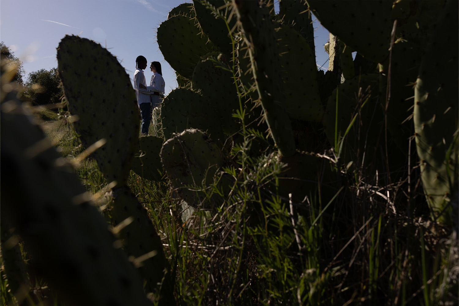 Using Nature to Frame Your Environmental Portraits