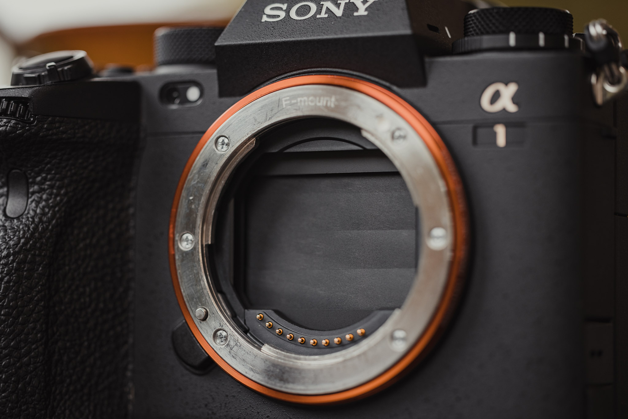 Sony A1 Review | Why Does This Camera Cost $6,500?