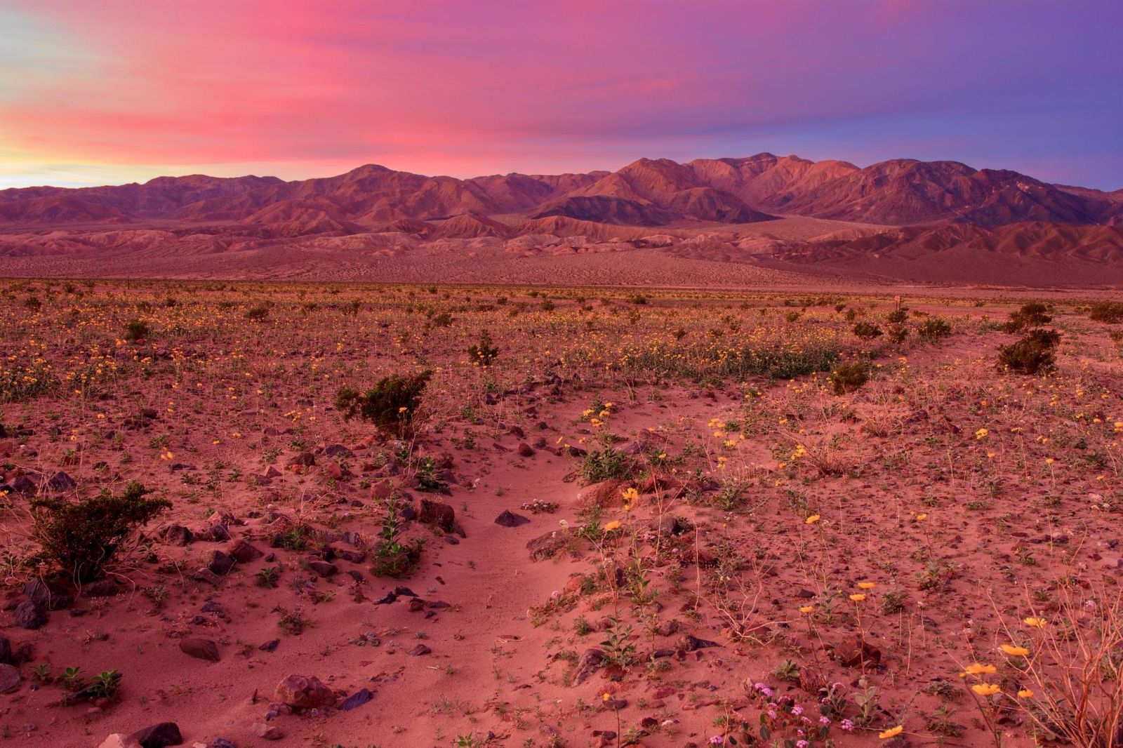 Beautiful Landscape Photography Made Simple With Zoner Photo Studio X