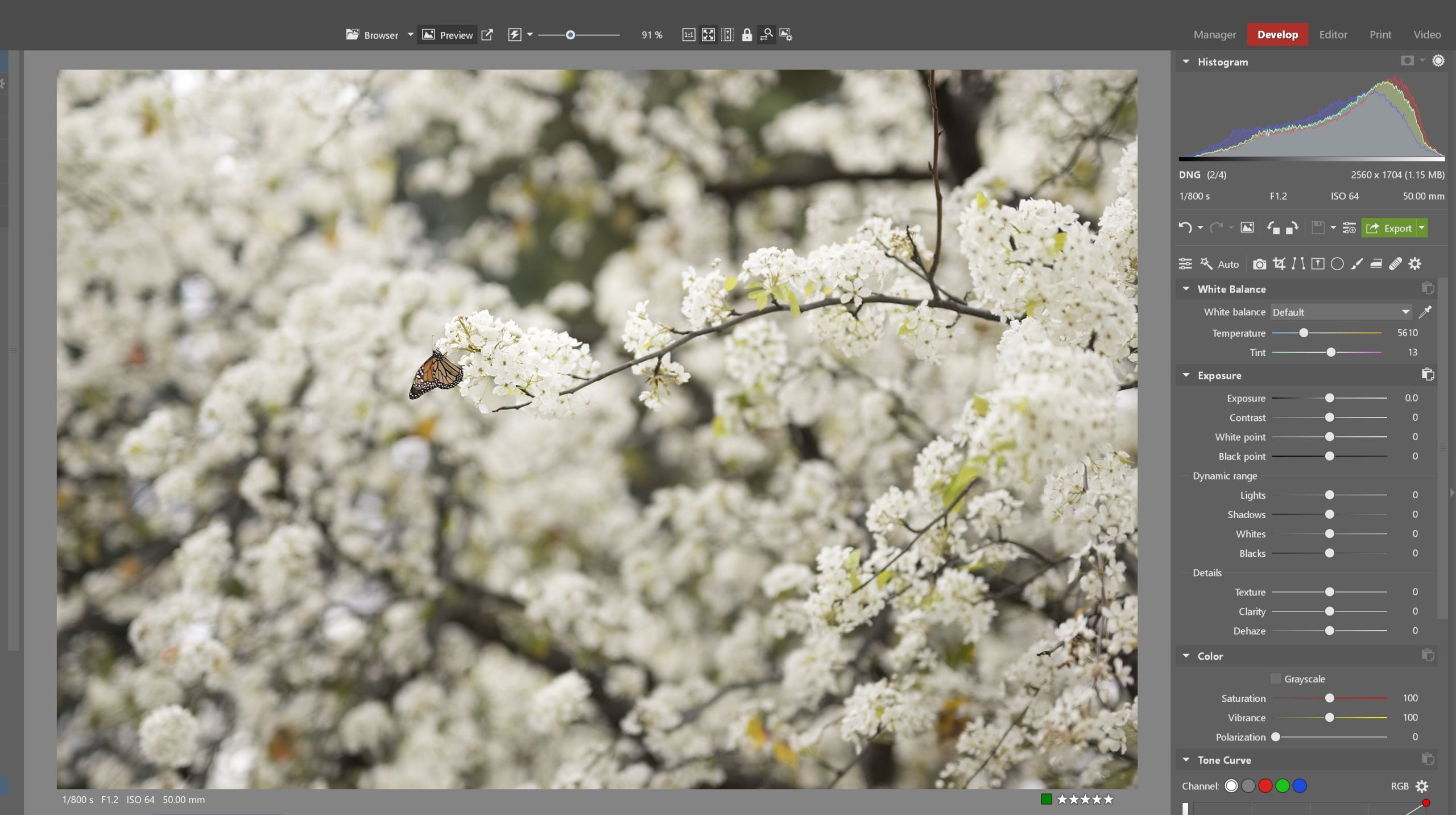Beautiful Landscape Photography Made Simple With Zoner Photo Studio X