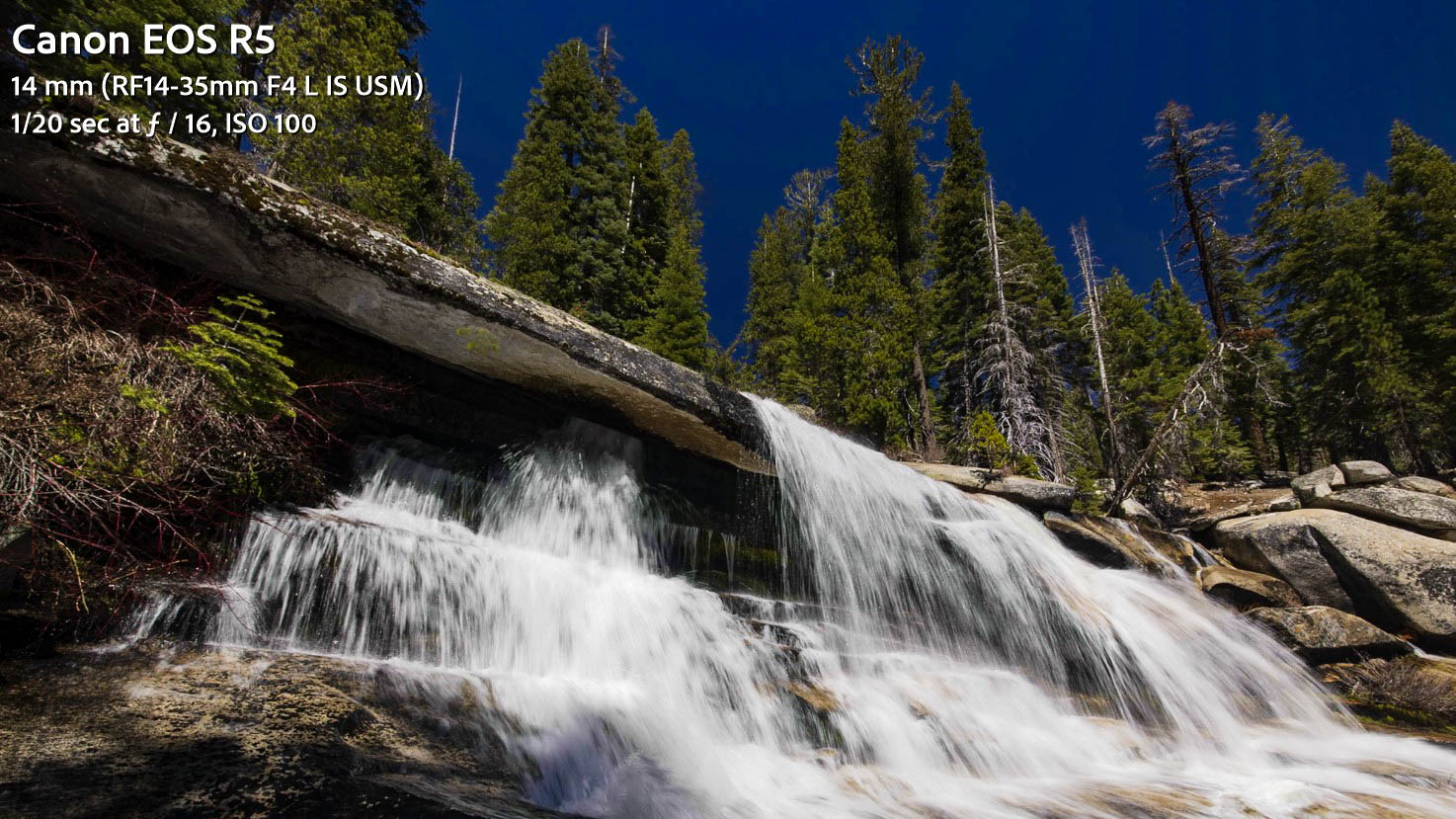 EXIF Data Definition - What is EXIF Data by SLR Lounge