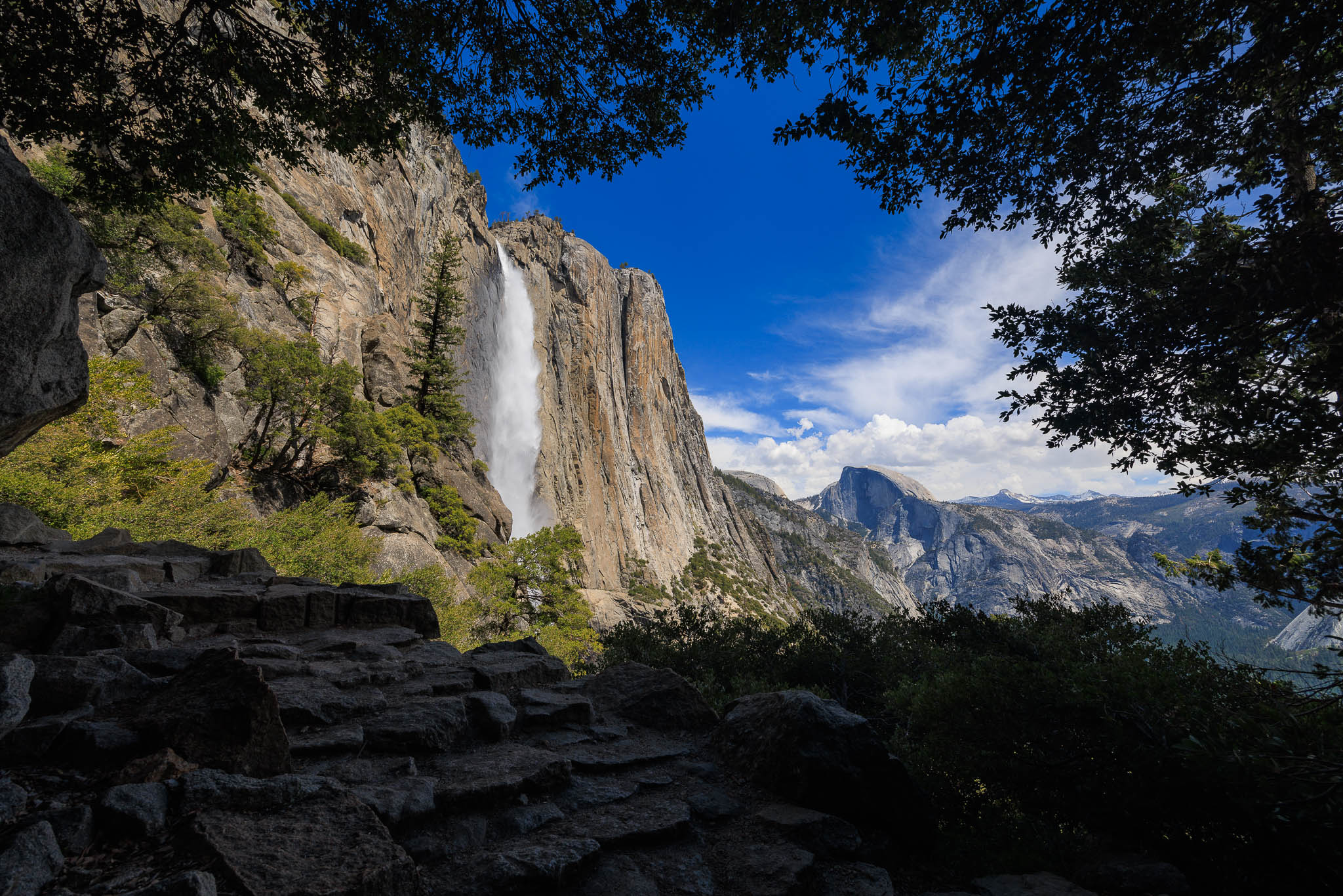 The Best Canon Camera (For Photography) Mirrorless & DSLR