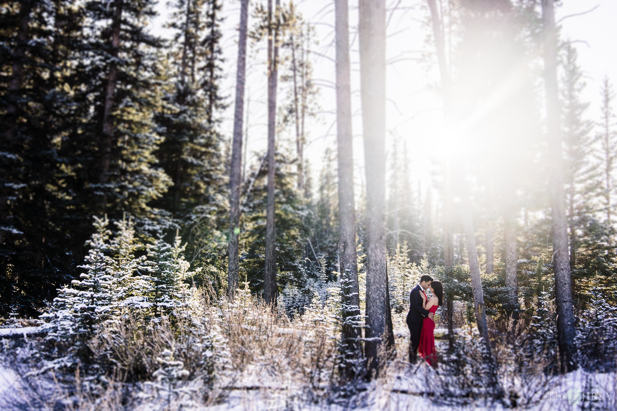 Winter photography tips and ideas for your best winter photos yet!