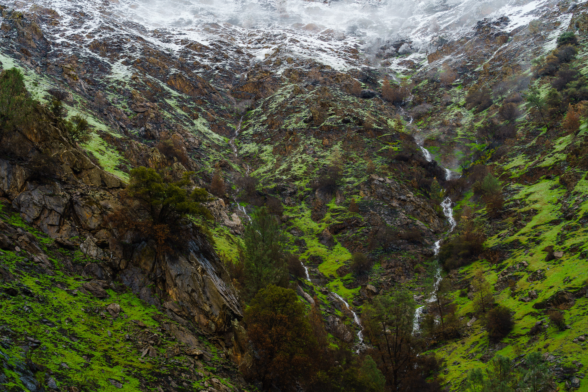 Winter photography tips and ideas for your best winter photos yet!